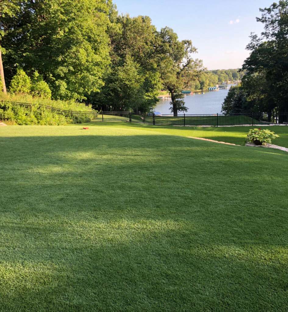 Discover Lush Greenery: Best Artificial Grass in Minnesota